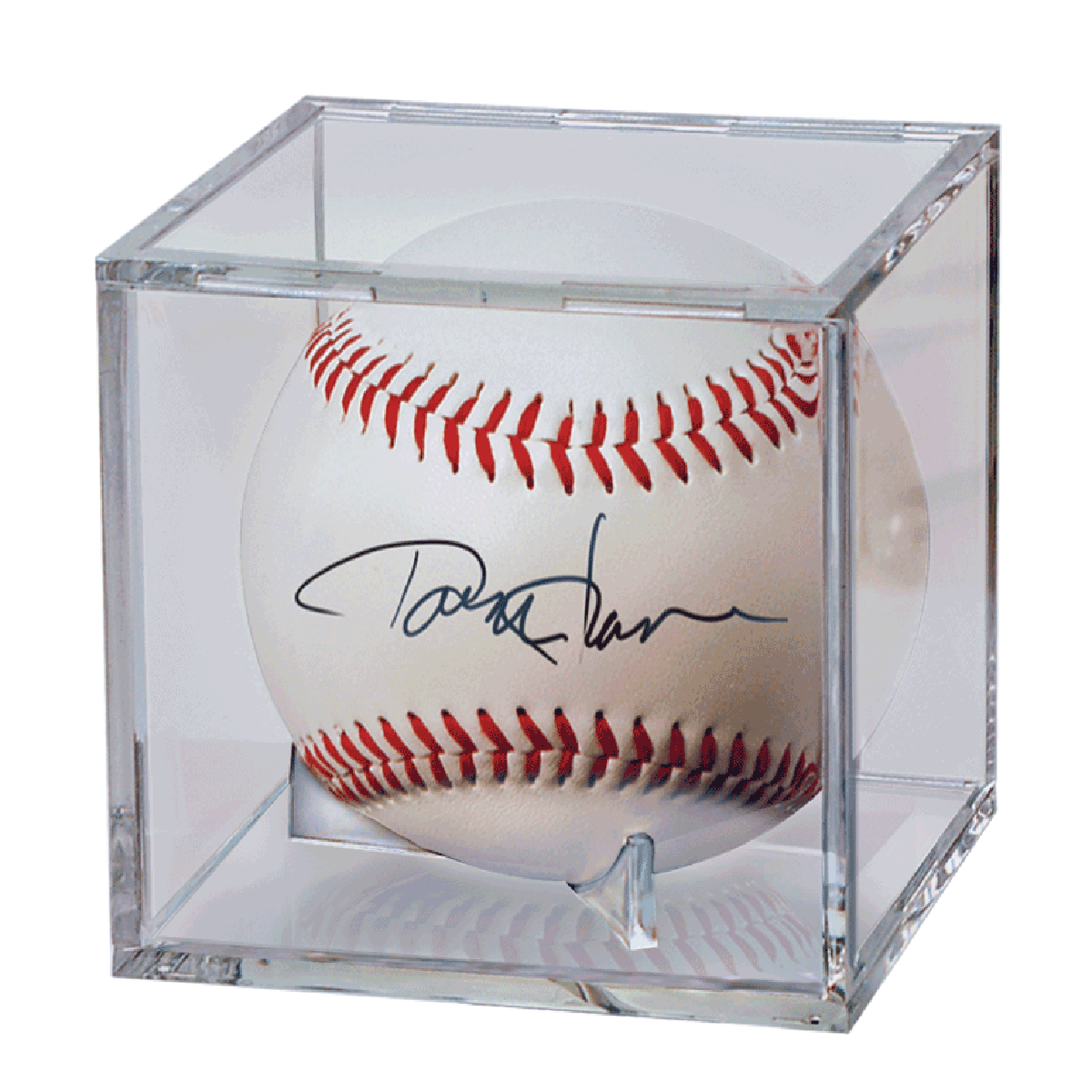 Baseball Clear Square Display Case | Ultra PRO International